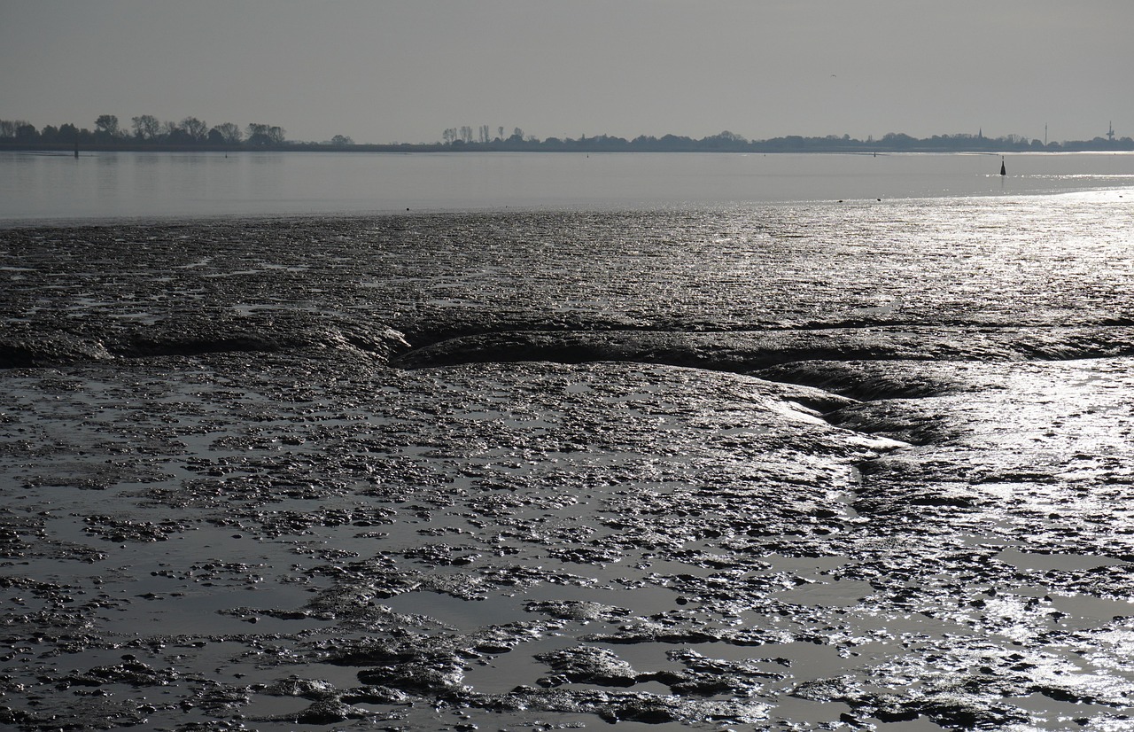 Watt Sea Flow - Free photo on Pixabay - Pixabay