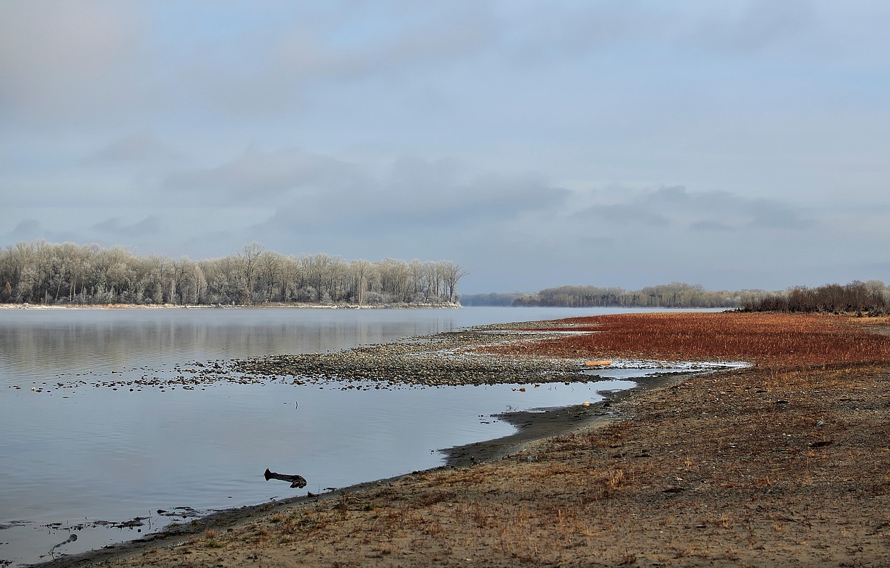 Lake Frost Winter - Free photo on Pixabay - Pixabay