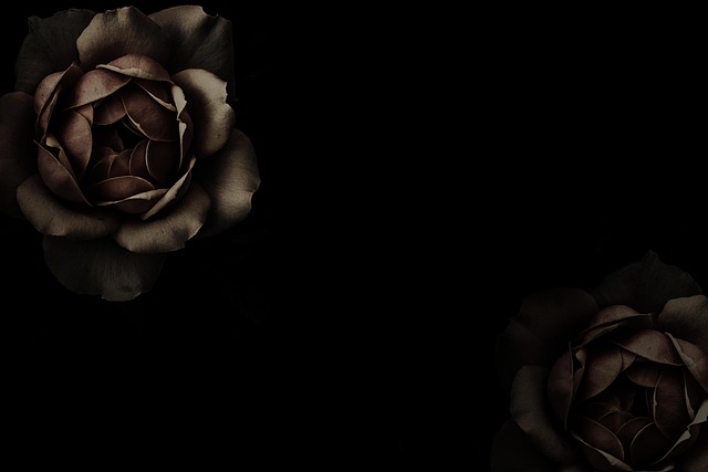 200+ Free Deepest Sympathy & Sympathy Images - Pixabay