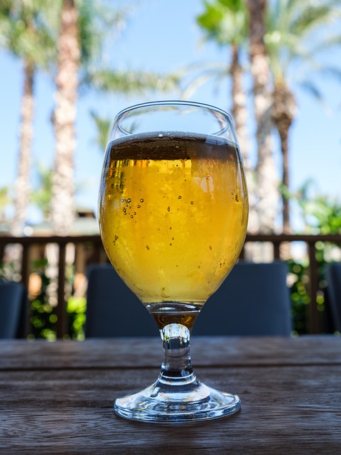 Álcool Cerveja Vidro - Foto gratuita no Pixabay - Pixabay