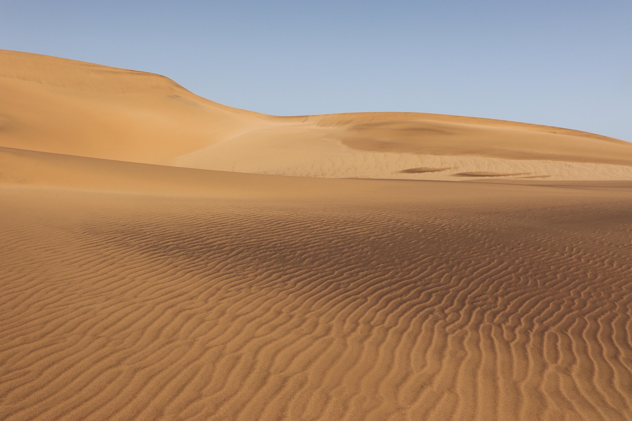 100 000 Free Food Desert Desert Images Pixabay 100 000 Free Food Desert Desert Images Pixabay