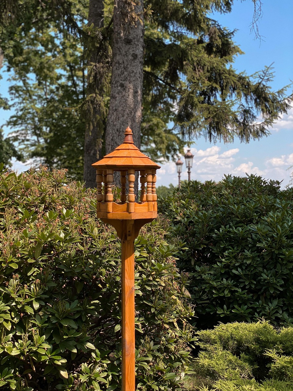 Birdhouse Birds Nature - Free photo on Pixabay - Pixabay