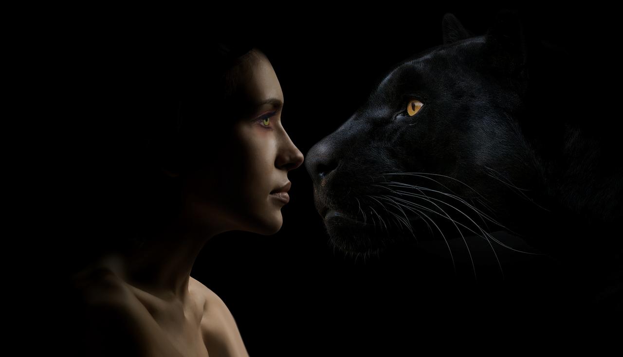 Download Big Cat, Female, Feline. Royalty-Free Stock Illustration Image ...