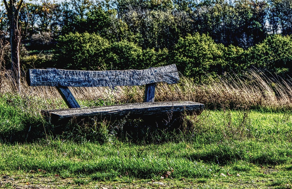 Bank Nature Wood - Free photo on Pixabay