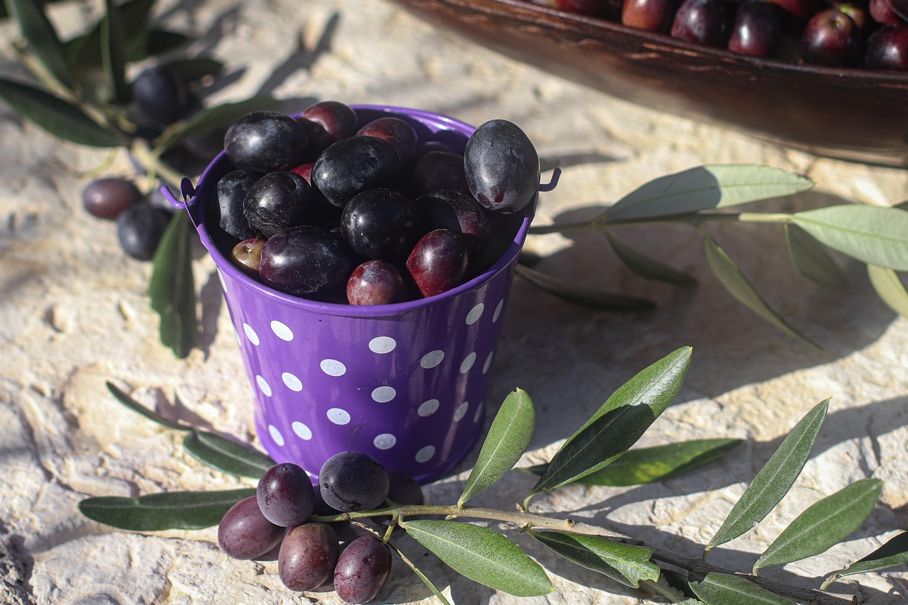 Olives Fruit Harvest Dark - Free photo on Pixabay