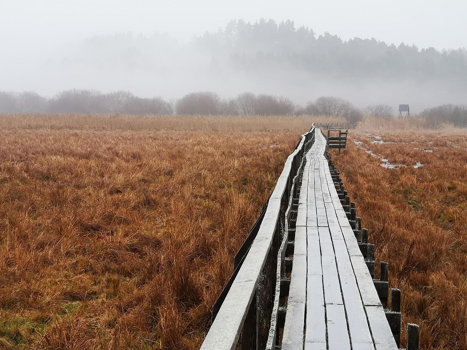 Road Nature Infinity - Free photo on Pixabay - Pixabay