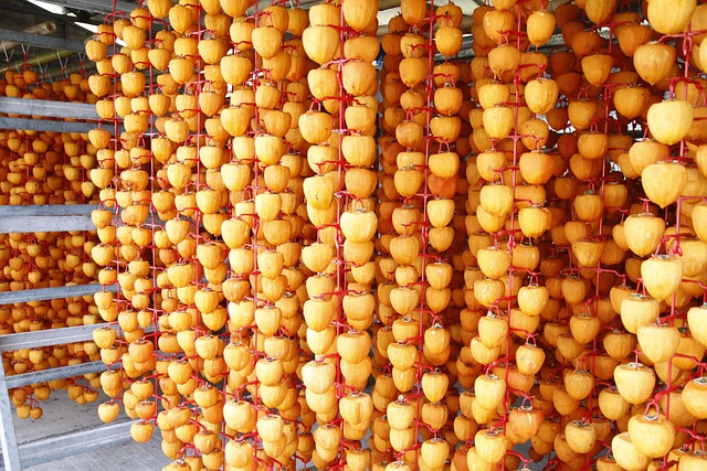 Dried Persimmon Haman - Free photo on Pixabay - Pixabay