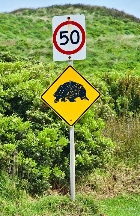 Sign Echidna Danger Free Photo On Pixabay