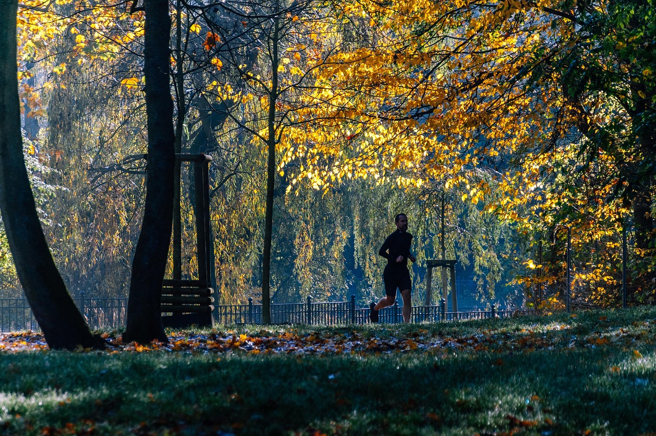 1,000+ Free Runner & Running Images - Pixabay