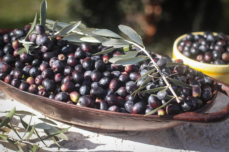 Olive Dark Olives Organic - Free photo on Pixabay