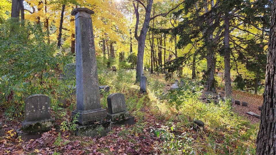 Cemetary Grabstein Wild - Kostenloses Foto auf Pixabay - Pixabay
