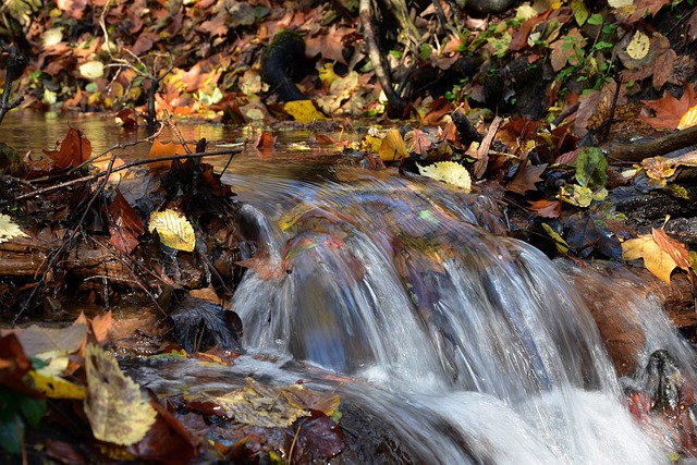Stream Brook Water - Free photo on Pixabay