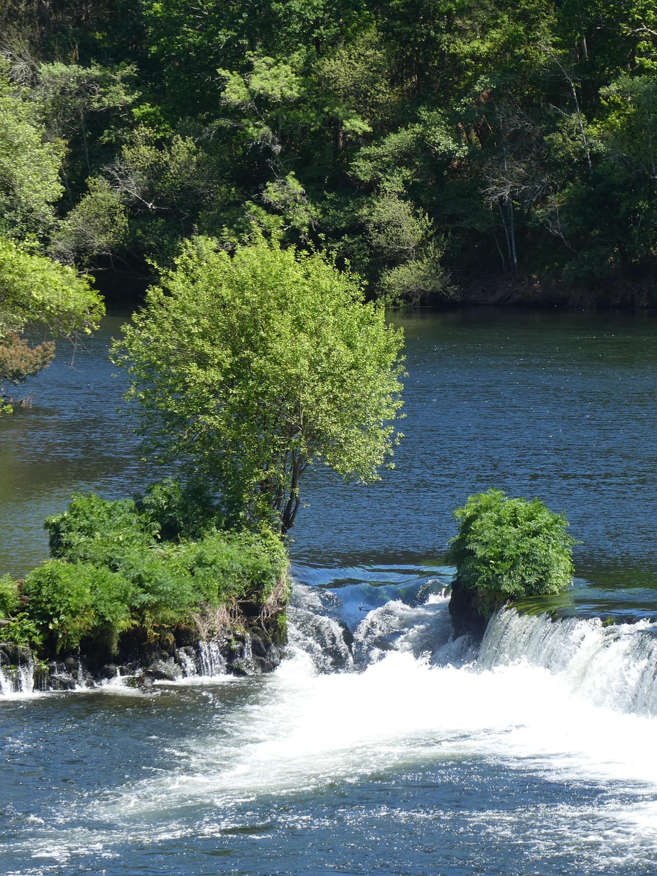Lake Nature Water - Free photo on Pixabay - Pixabay