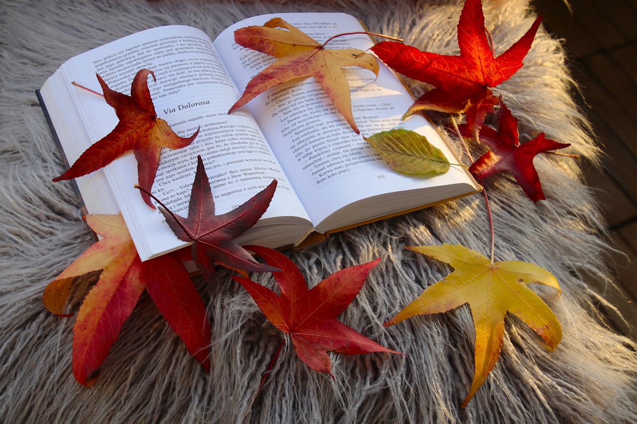 To Read Books In The Fall Free Photo On Pixabay Pixabay To Read Books In The Fall Free Photo On Pixabay Pixabay