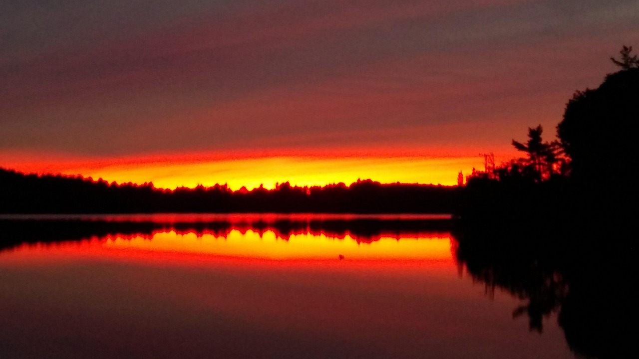 Sunset Nature Night - Free photo on Pixabay - Pixabay