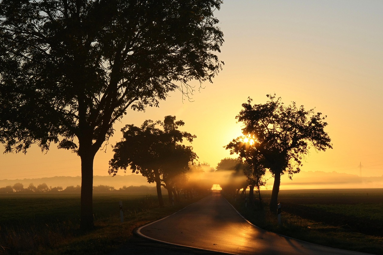 Sunrise Fog Light - Free photo on Pixabay - Pixabay