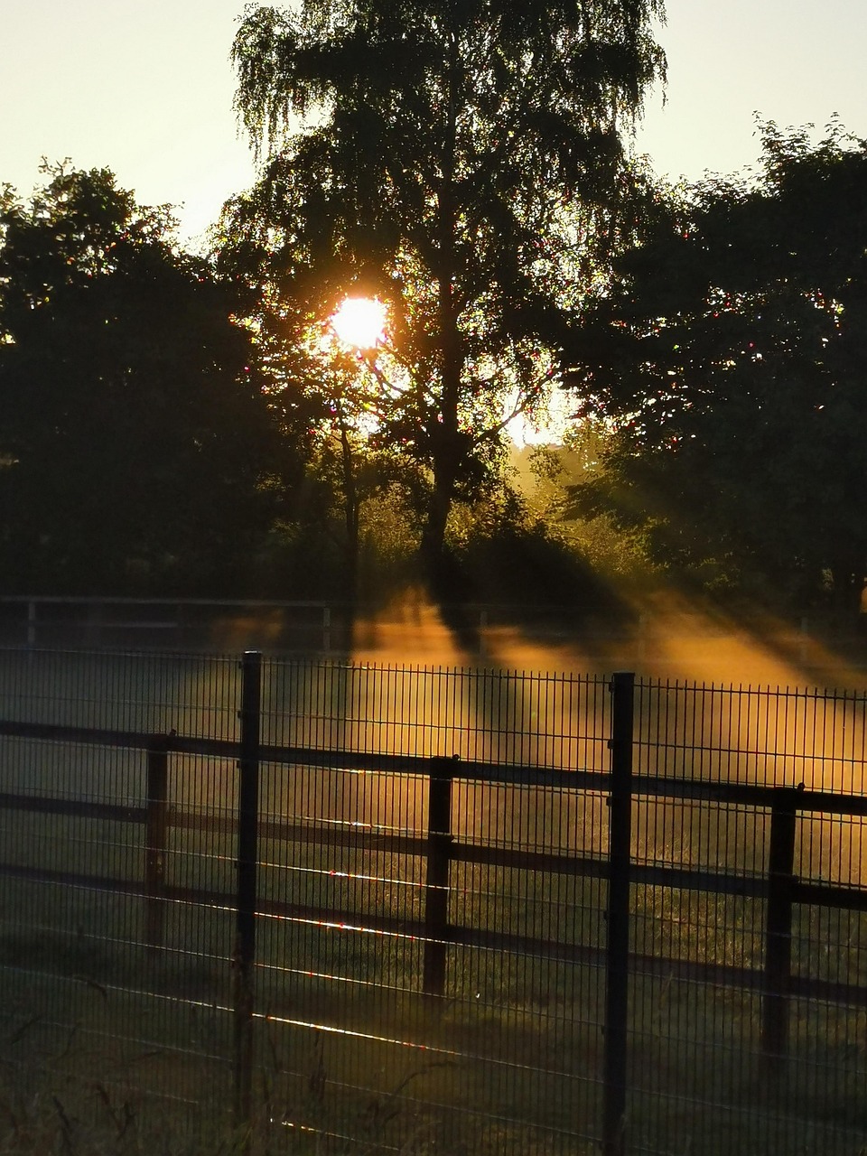 Sunrise Mood Fog - Free photo on Pixabay - Pixabay