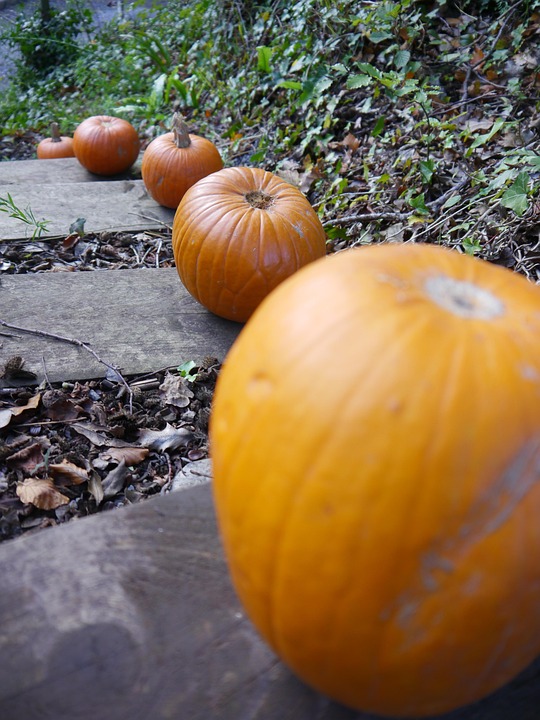 Citrouilles Halloween Saisonnier - Photo gratuite sur Pixabay - Pixabay