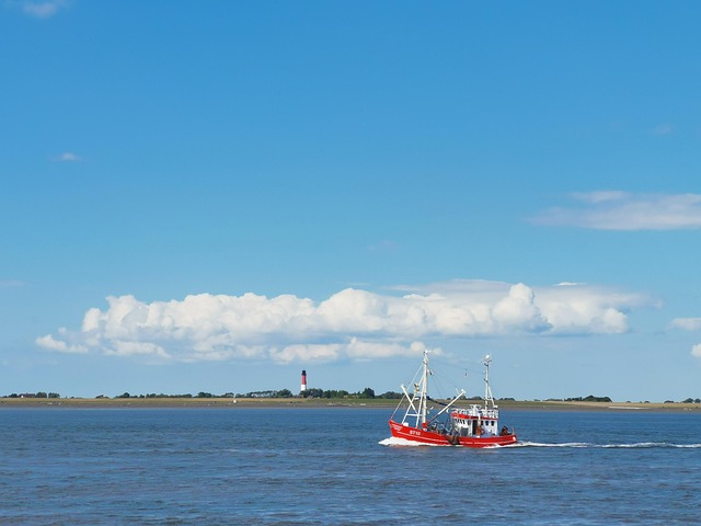 North Sea Coast - Free photo on Pixabay - Pixabay