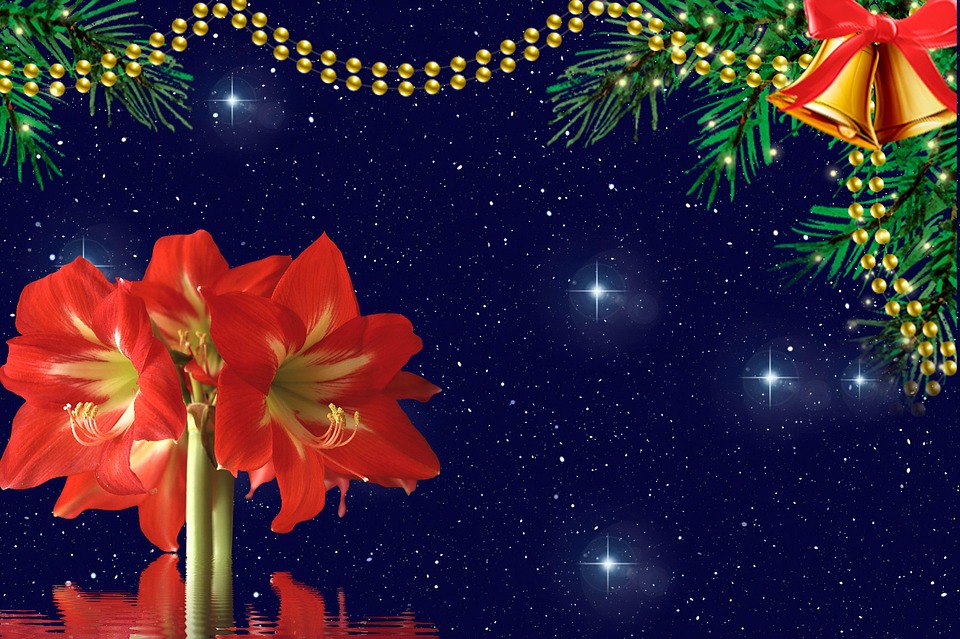 Kerstmis Komst Kerstkaart - Gratis afbeelding op Pixabay