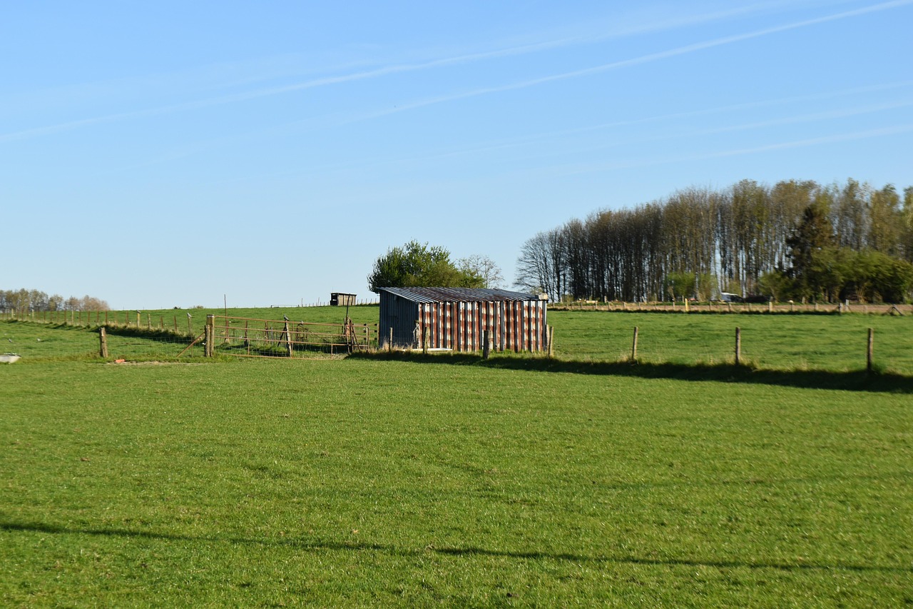 Meadow Stable Herbe - Photo gratuite sur Pixabay - Pixabay