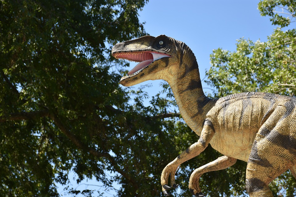 Velociraptor Dinosaur Prehistoric - Free photo on Pixabay - Pixabay