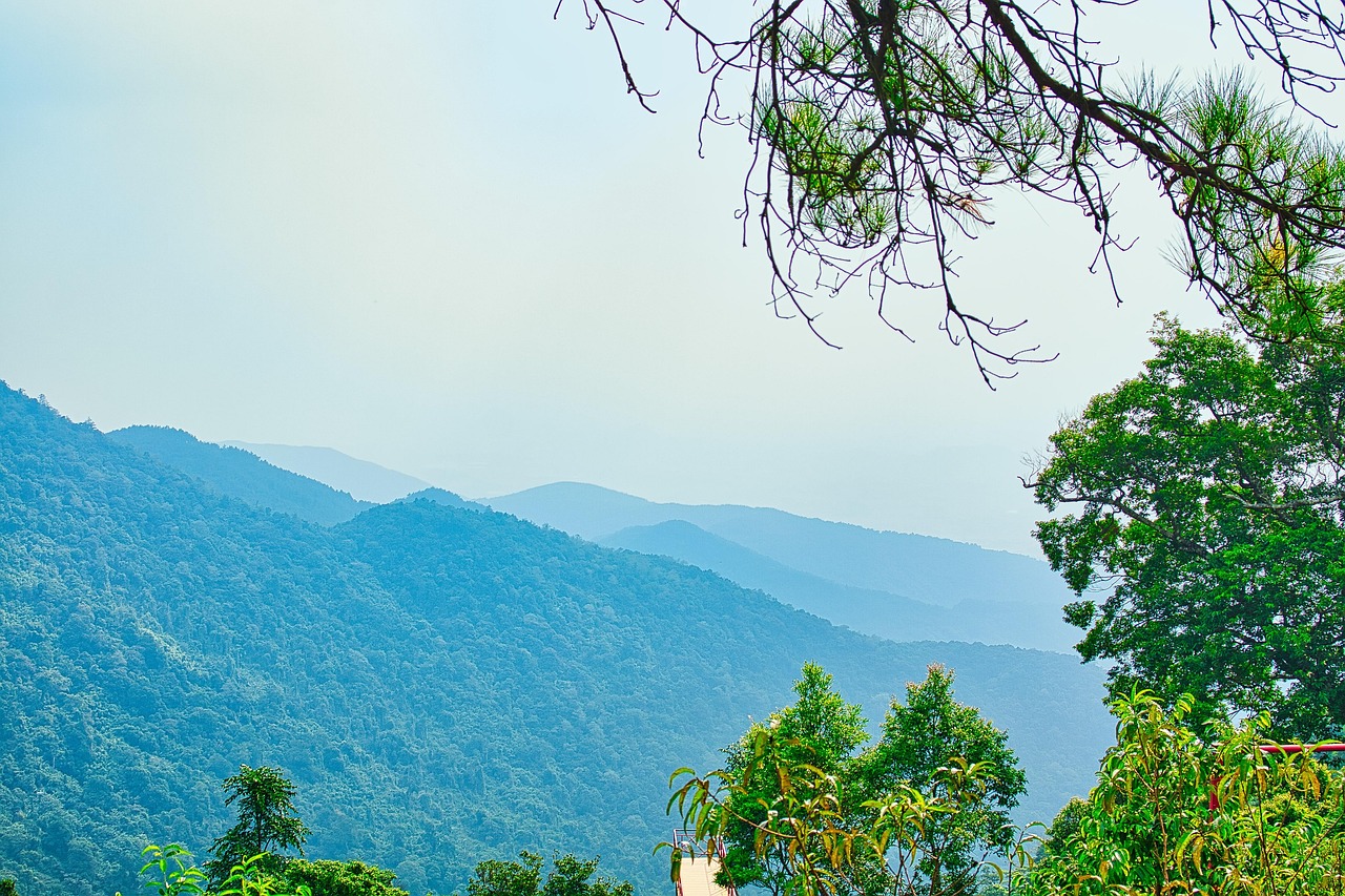 Mountain Three Island Tree - Free photo on Pixabay