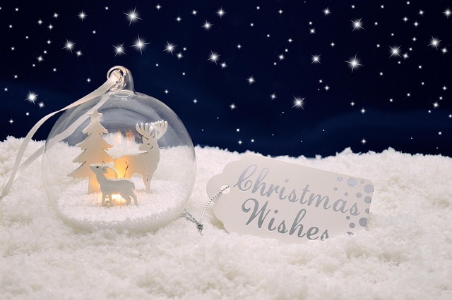 Christmas Motif Snow Globe - Free image on Pixabay