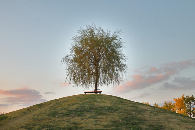 Photo Landscape - Free photo on Pixabay