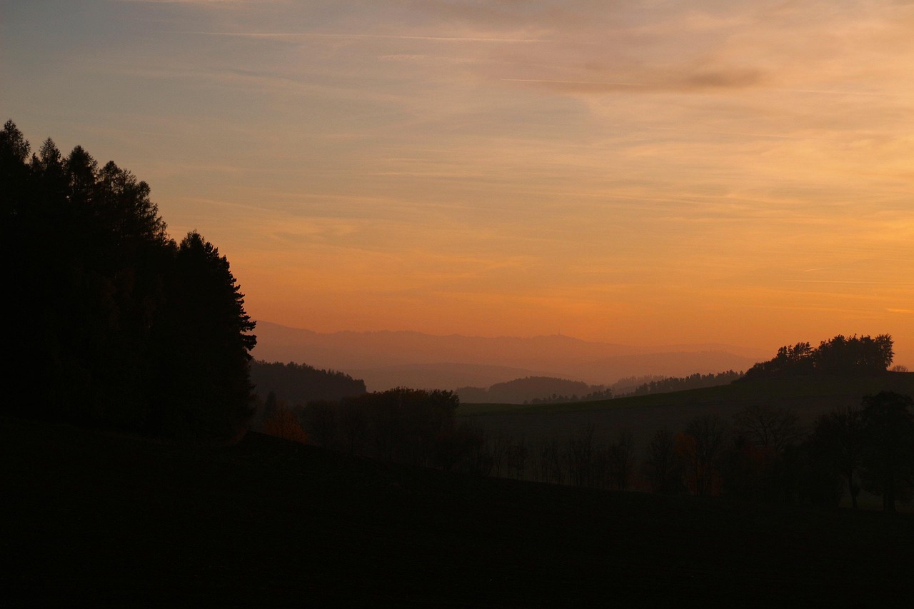 Atardecer Naturaleza Bosque - Foto gratis en Pixabay - Pixabay