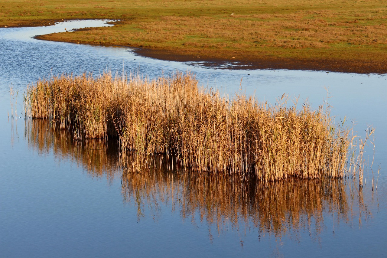 Nature Reserve Landscape - Free photo on Pixabay