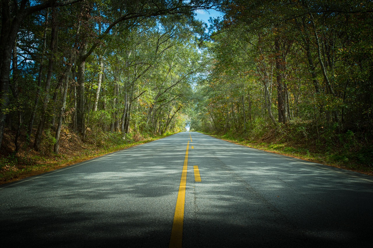 Landscape Backroads Scenery - Free photo on Pixabay