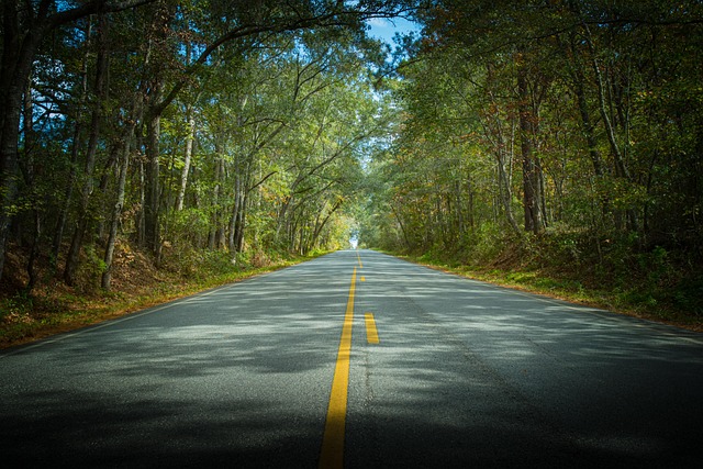 Landscape Backroads Scenery - Free photo on Pixabay