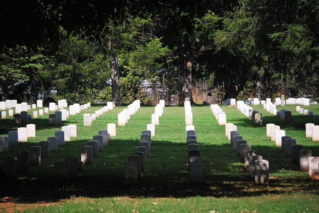 Battlefield War History - Free photo on Pixabay