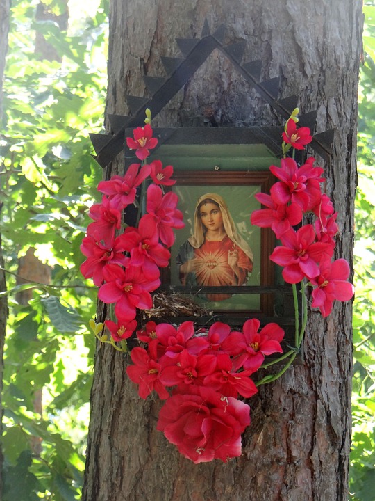 Poland Forest Chapel - Free photo on Pixabay - Pixabay