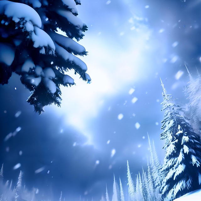 Hiver Neige Du Froid - Photo gratuite sur Pixabay - Pixabay