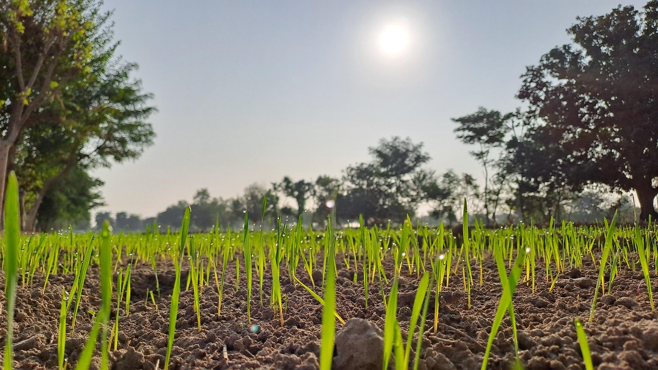 40,000+ Free Pakistan Landscape & Pakistan Images - Pixabay