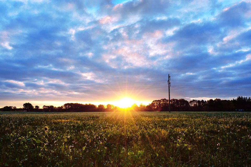 Sunrise Sun Star Fall - Free photo on Pixabay - Pixabay