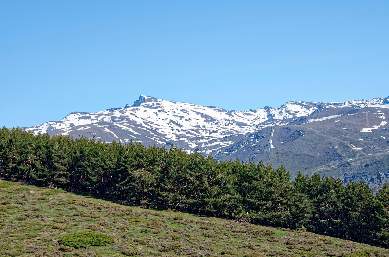 Más de 8 000 imágenes gratis de Sierra y Sierra Nevada - Pixabay