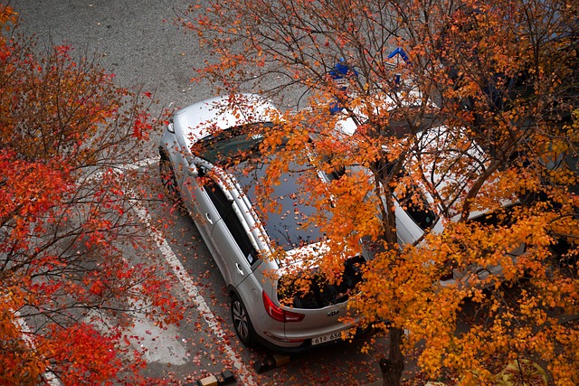 Autumn Parking Lot Leaves - Free photo on Pixabay