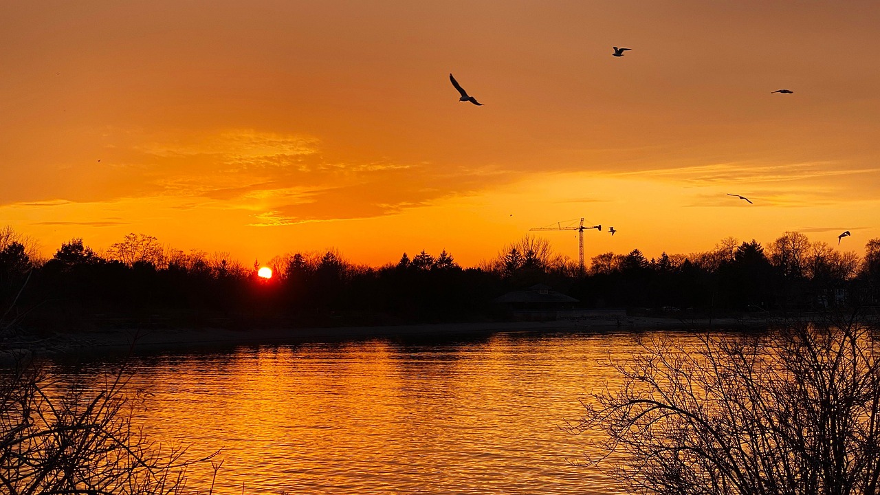 Atardecer Paisaje Hora Dorada - Foto gratis en Pixabay - Pixabay