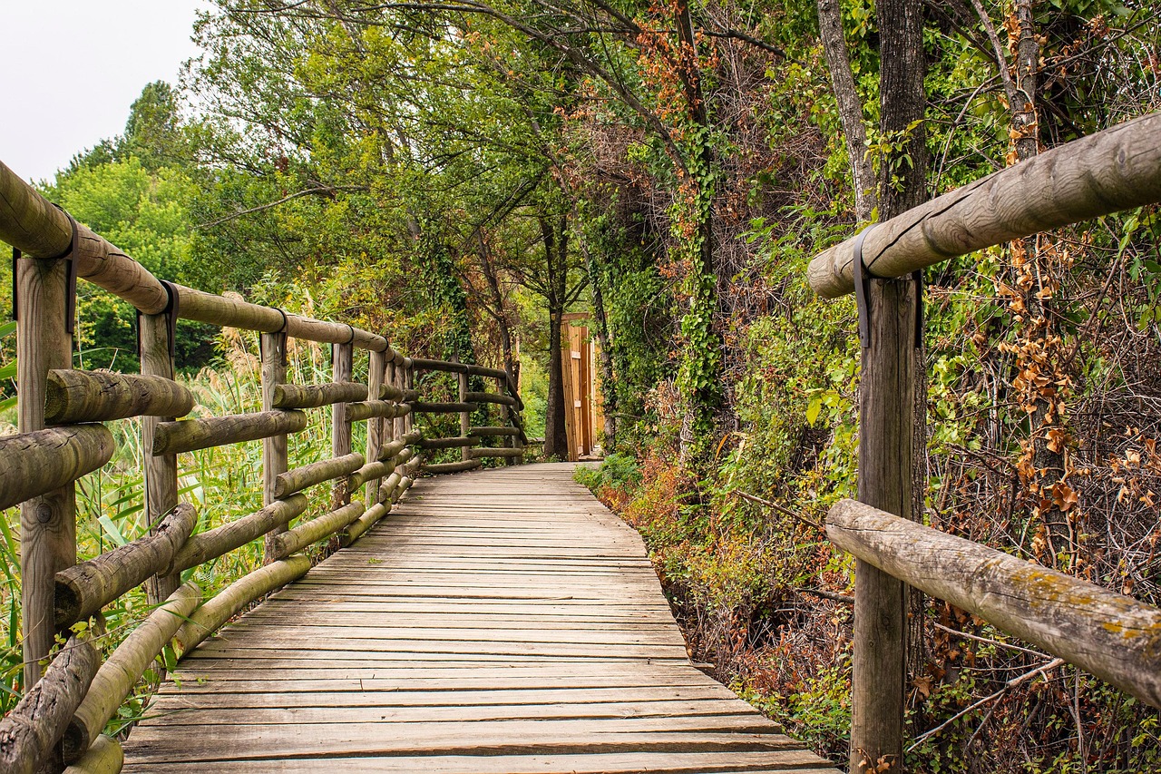 Autumn Walkway Natural Reserve - Free photo on Pixabay - Pixabay