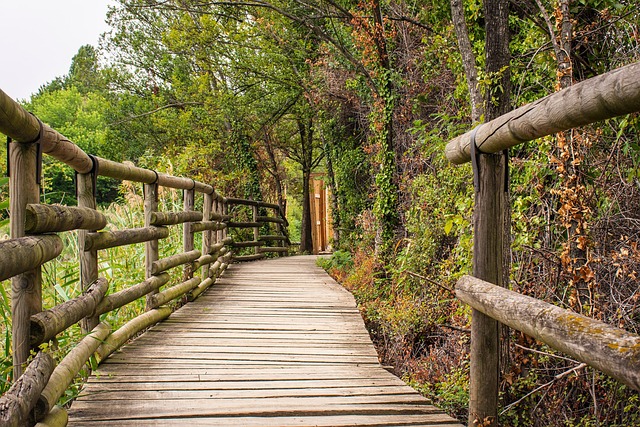 Autumn Walkway Natural Reserve - Free photo on Pixabay - Pixabay