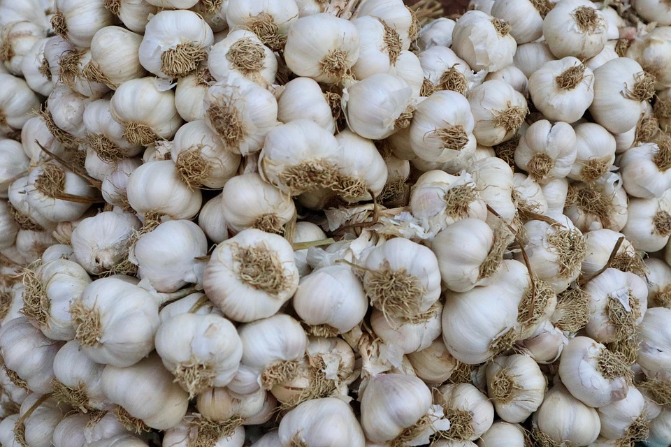 Garlic Food Organic - Free photo on Pixabay