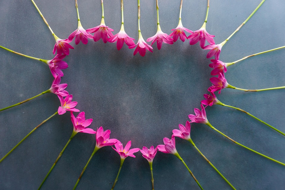 Heart Flowers Valentines Day - Free photo on Pixabay - Pixabay