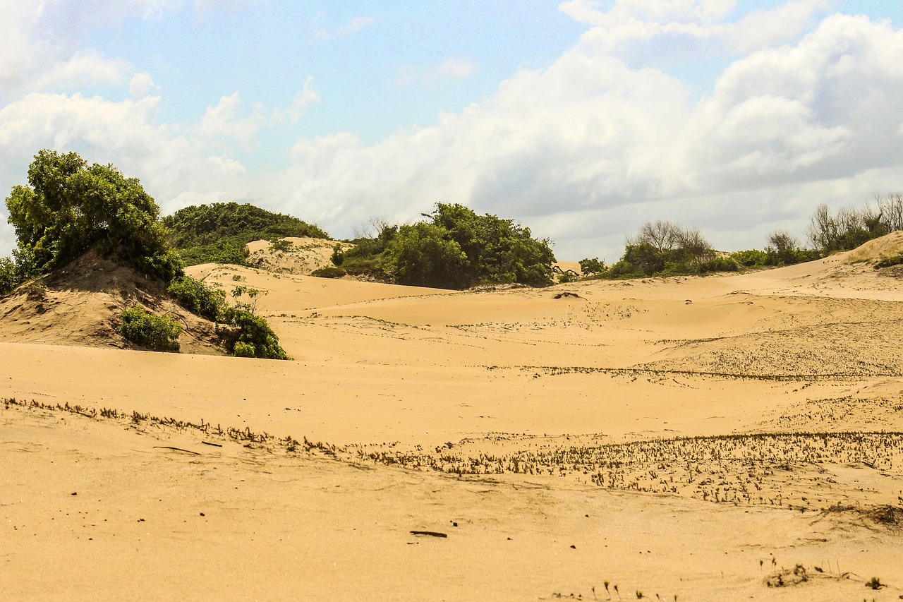 90+ Free Sandbank & Nature Images - Pixabay