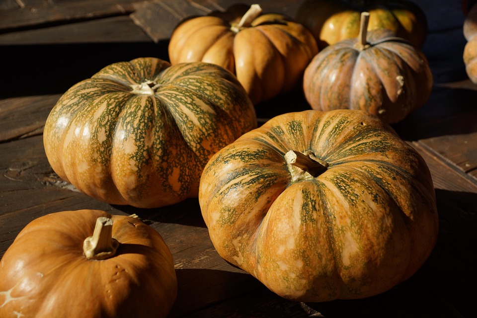 Pumpkins Harvest Vegetable - Free photo on Pixabay
