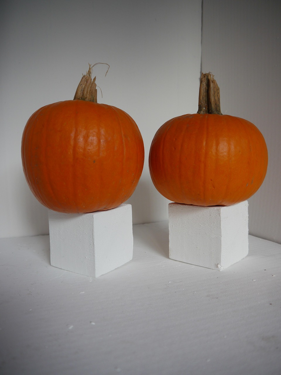 Pumpkins Hallowe'En Squash - Free photo on Pixabay - Pixabay