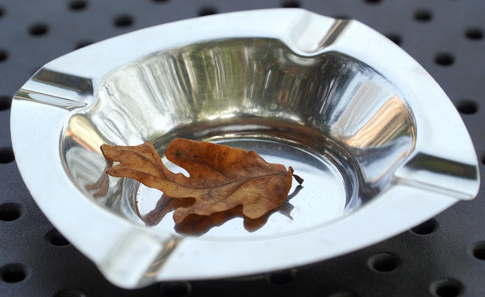 Ashtray Leaf Fall - Free photo on Pixabay
