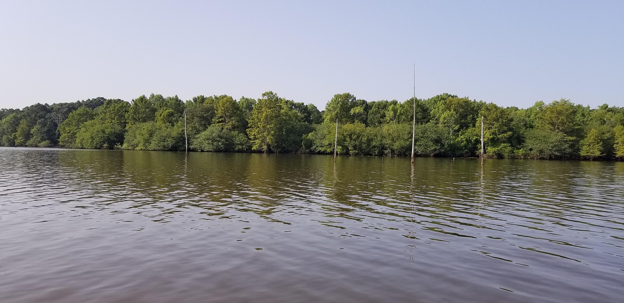 Lake Louisiana Water - Free photo on Pixabay - Pixabay